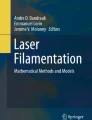 Practitioner’s guide to laser pulse propagation models and simulation | The European Physical ...