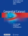 Intracameral medications in cataract surgery | International Ophthalmology
