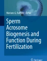 Acrosome markers of human sperm | Anatomical Science International
