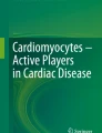 Programmed cardiomyocyte death in myocardial infarction | Apoptosis