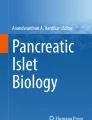 Organisation of the human pancreas in health and in diabetes | Diabetologia