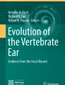 The Frog Inner Ear: Picture Perfect? | Journal of the Association for ...