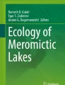 Effects of thermal stratification and mixing on reservoir water quality ...