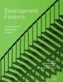 Development Finance: Theory and Practice | SpringerLink