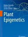 Noncoding RNA-Mediated Regulation of DNA Methylation: Insights into Plant Epigenetic Mechanisms ...