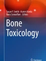 The brain–bone axis: unraveling the complex interplay between the ...