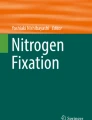 Nitrogenation Strategy for the Synthesis of N-containing Compounds ...