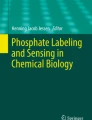 Applications of Phosphate Modification and Labeling to Study (m)RNA ...