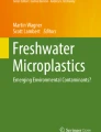 Microplastics provide new microbial niches in aquatic environments | Applied Microbiology and ...
