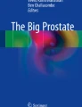 The Prostate Gland | SpringerLink