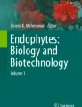 Endophytic Fungi: A Potential Source of Bioactive Compounds for ...