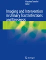Candida urinary tract infections in adults | World Journal of Urology