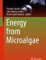 Bioproducts from Microalgal Biomass | SpringerLink