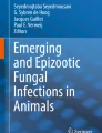 Fungal Diseases in Animals: From Infections to Prevention | SpringerLink