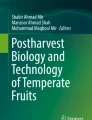 Banana Ripening: Science and Technology | SpringerLink