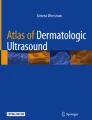 Ultrasound Imaging: Basic Principles and Terminology | SpringerLink