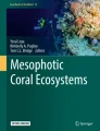 Microstructure of common reef-building coral genera Acropora ...