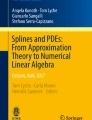 Spline Functions | SpringerLink