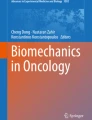 Biophysical interactions between components of the tumor ...