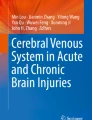 The intracranial bridging veins: a comprehensive review of their ...