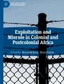 Africans and the Colonial Economy | SpringerLink