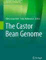 Tissue culture-based genetic improvement of fava bean (Vicia faba L ...