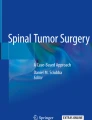 Thoracic Lateral Extracavitary Decompression and Fusion | SpringerLink