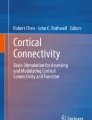 Deciphering Functional Connectivity Differences Between Motor Imagery and Execution of Target ...