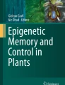 Regulatory roles of epigenetic modifications in plant-phytopathogen ...