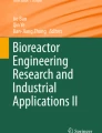 Strategies and engineering aspects on the scale-up of bioreactors for ...