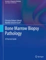 Anatomy and Physiology of the Bone–Bone Marrow System | SpringerLink