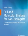 Messenger RNA (mRNA): From Transcription to Protein Translation ...
