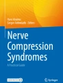 Radial nerve compression: anatomical perspective and clinical ...