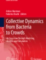 Crowd Dynamics, Volume 1: Theory, Models, and Safety Problems ...