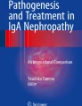 New insights into pathogenesis of IgA nephropathy | International ...