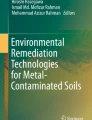 Chemical Processes Affecting the Mobility of Heavy Metals and Metalloids in Soil Environments ...