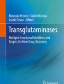 Structural aspects of transglutaminase 2: functional, structural, and ...
