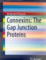 Connexin-Containing Vesicles for Drug Delivery | The AAPS Journal