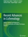 Species in lichen-forming fungi: balancing between conceptual and ...