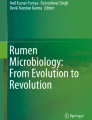 Untangling the Structure and Function of Rumen Microbes in Relation to ...