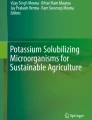 Potassium Solubilizing Microorganisms as Potential Biofertilizer: A ...