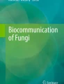 Plant-mycorrhiza communication and mycorrhizae in inter-plant ...