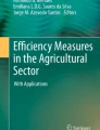 Slacks-Based Measure of Efficiency | SpringerLink