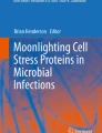 Moonlighting enzymes: when cellular context defines specificity ...