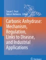 The Carbonic Anhydrases: New Horizons | SpringerLink