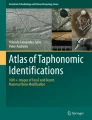 7 Taphonomic and Diagenetic Processes | SpringerLink