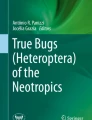 The revision of fossil big-eyed bugs suggests a peculiar evolutionary ...