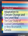 Environmental Impacts—Coastal Erosion and Coastline Changes | SpringerLink