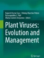 Banana bunchy top virus and the bunchy top disease | Journal of General ...