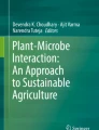 Microbial contributions to maize crop production: a comprehensive ...